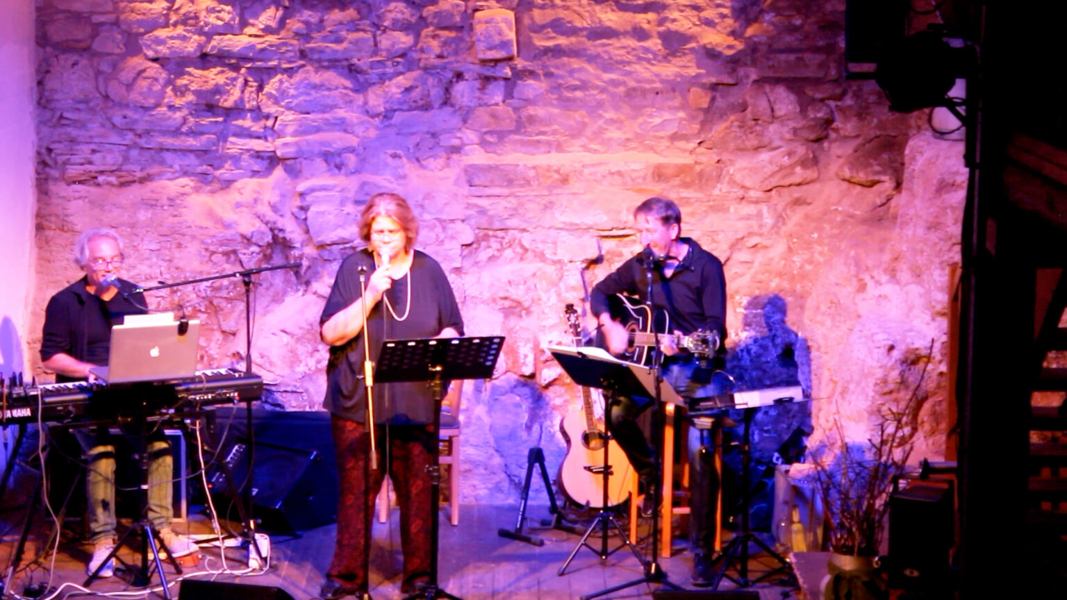 Von Haindling bis Van Morrison: Trio Rehm, Ruff und Schulz mit Konzert ...